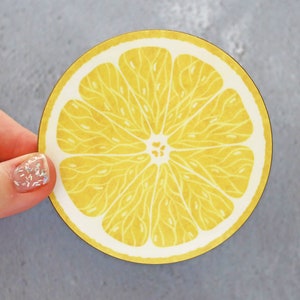 Fruit Slice Coasters, Orange Slice, Lemon Slice, Lime Slice, Watermelon ...