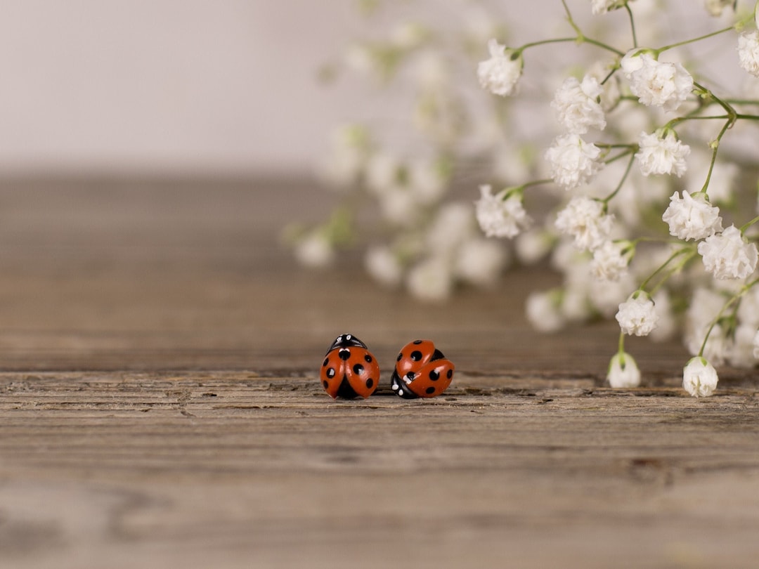 Handmade Polymer Clay Ladybug Stud Earrings: Titanium or Steel - Etsy