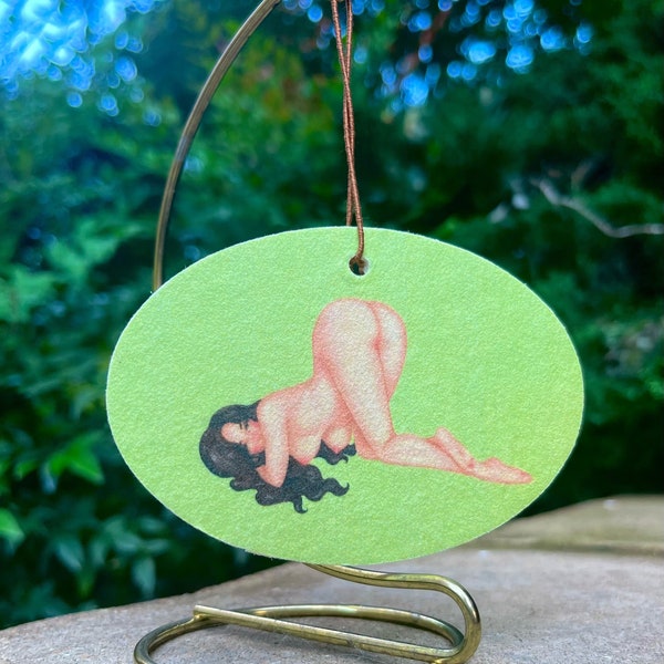 Warbird Pinup - Etsy