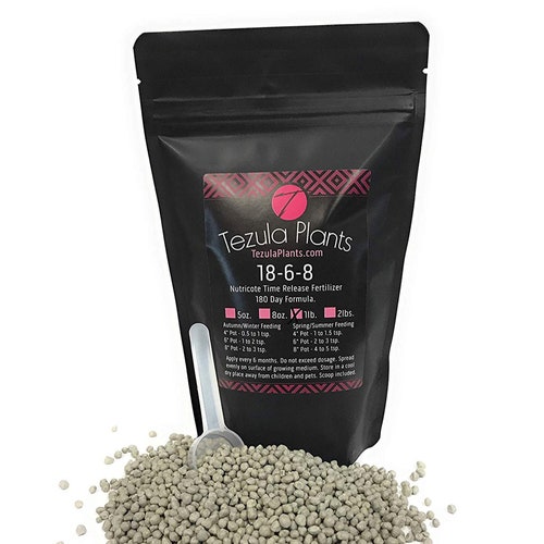 Nutricote 18-6-8 Timed Release Fertilizer. One Application - Etsy