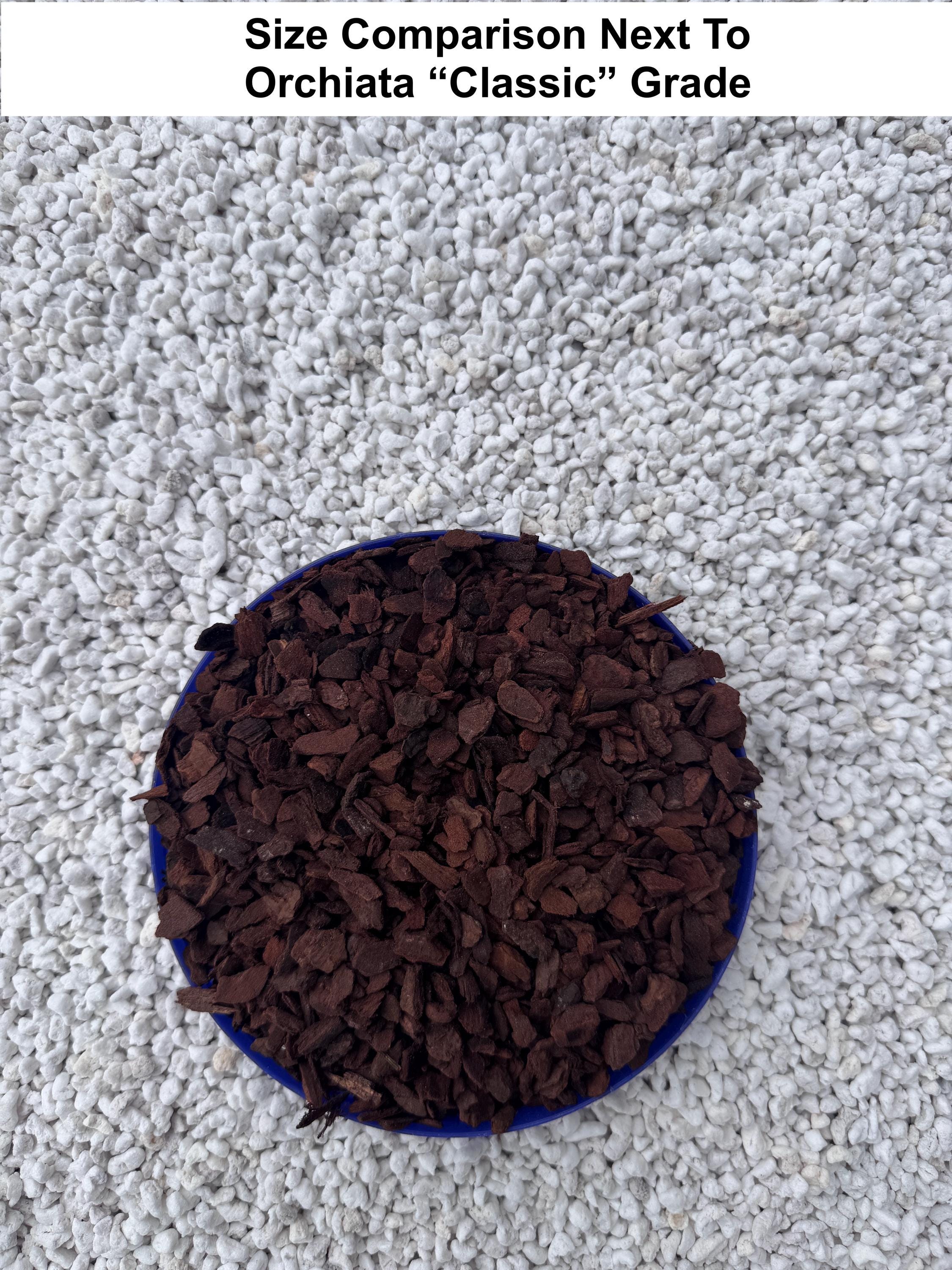 Double Graded Chunky Perlite #2 – Dust-free, True to Size, Compatible ...