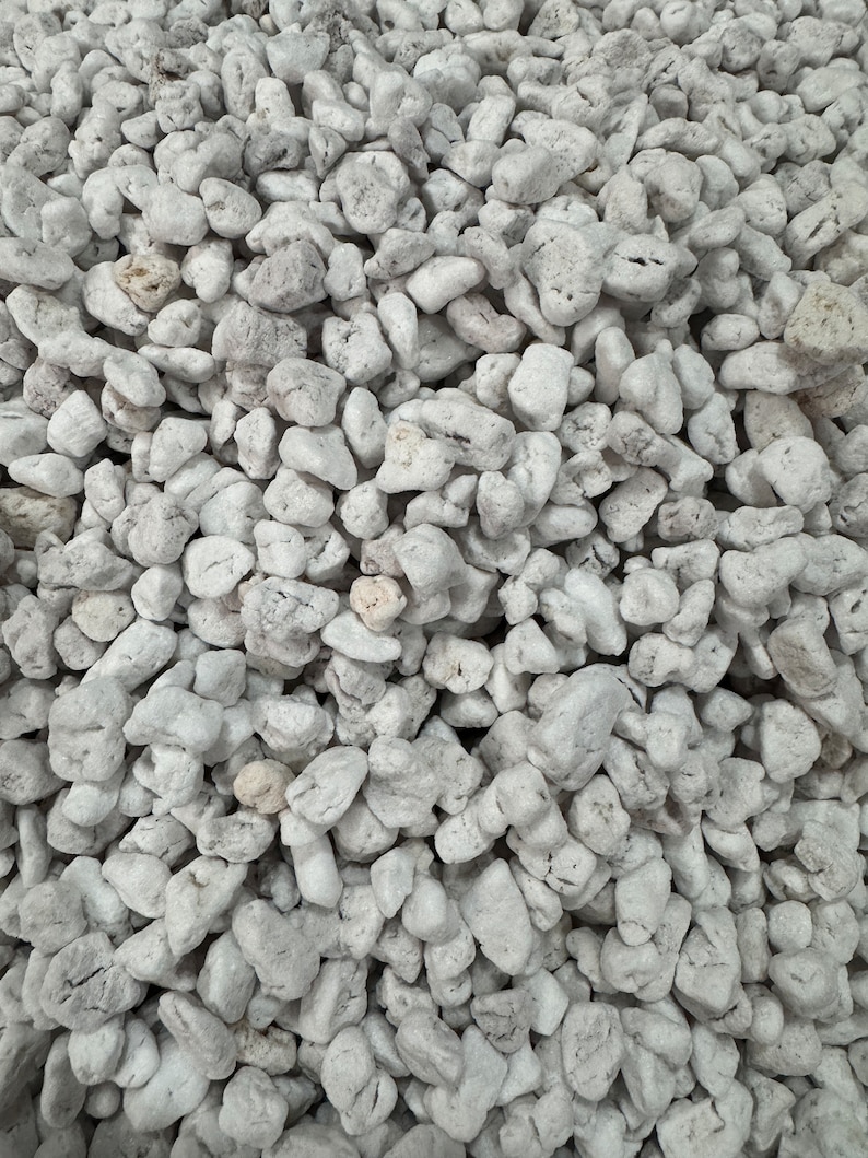 Triple Graded Chunky Perlite #3 – Dust-free, True to Size & Box-shipped ...