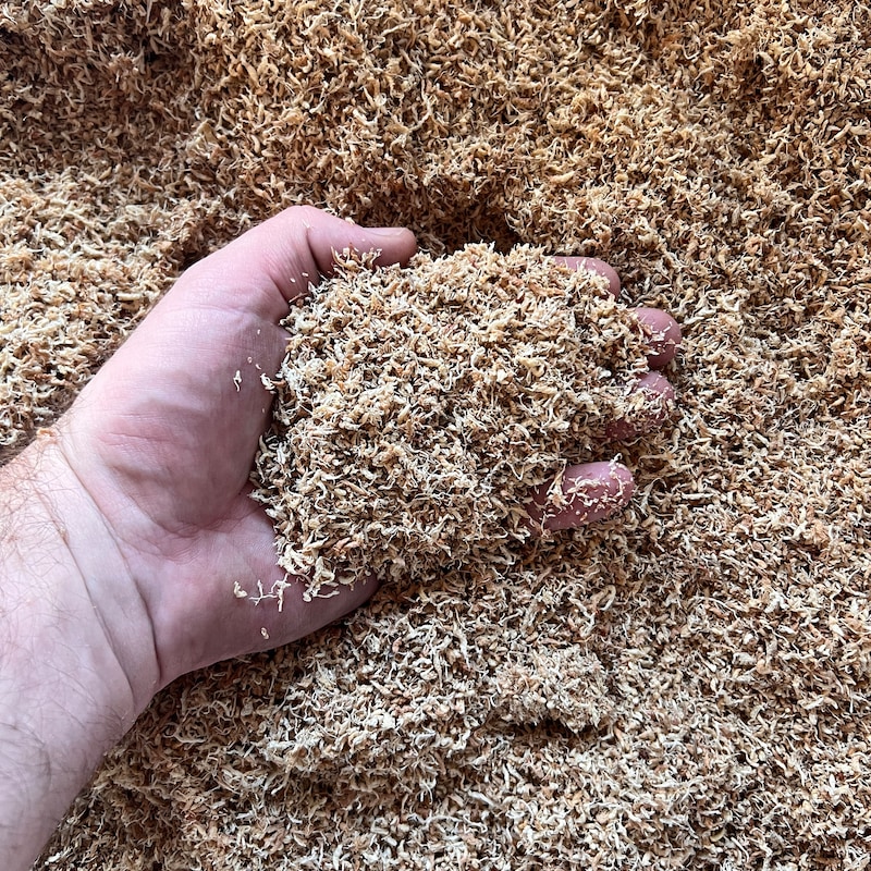 Long Plant Terrarium - Etsy