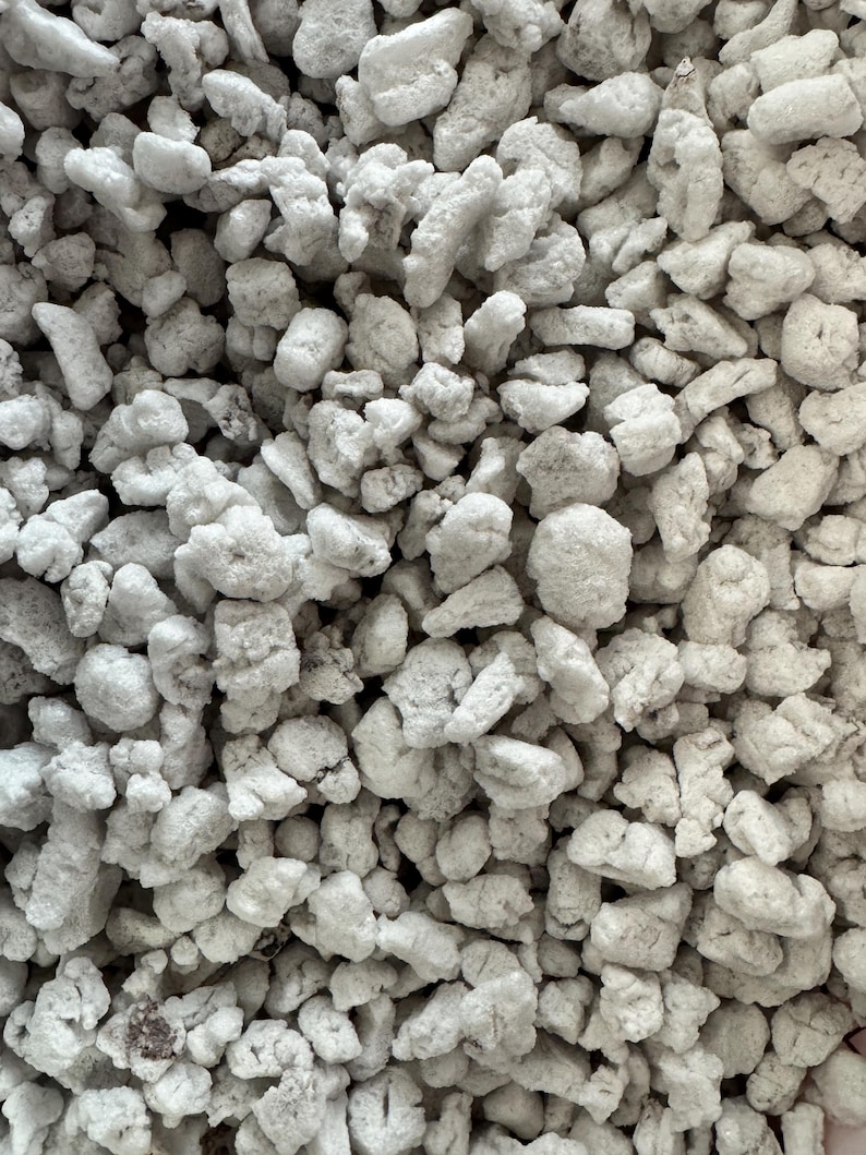 Super Chunky Perlite #4 - Extra Large Dust-free Nuggets for Orchids ...