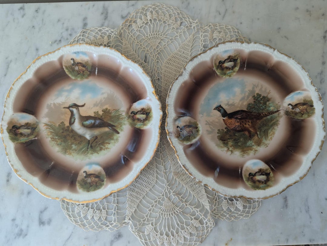 Antique Pheasant Plates Lovely Set of Two - Etsy
