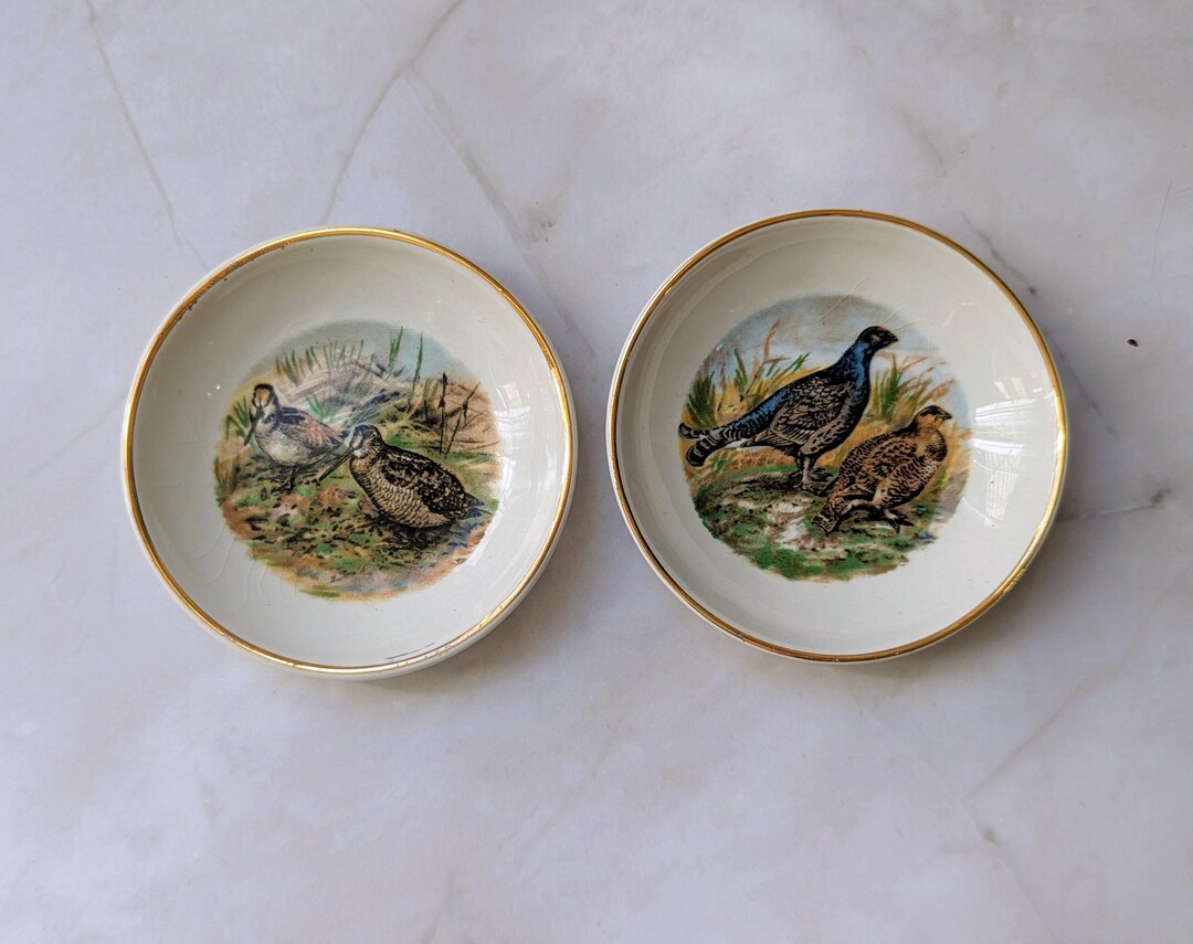 Two Crown 1801 Staffordshire Pheasant Birds Design Small Dish Gold Rim ...