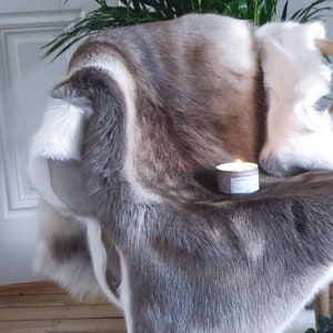 Reindeer Hide Throw & Rug - Etsy