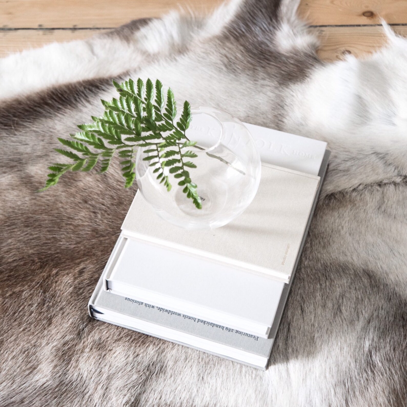 Reindeer Hide Throw & Rug the Erva / - Etsy