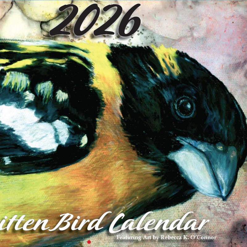 2026 Bird Calendars - Etsy