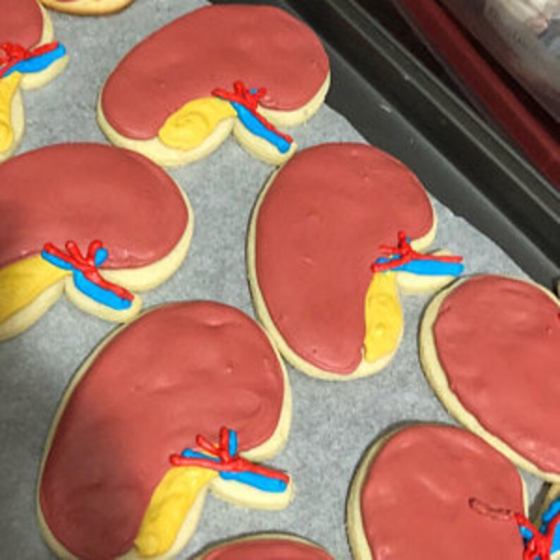 Kidney Cookie Cutter - Etsy