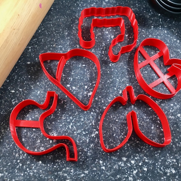 Human Anatomy Cookie Cutter - Etsy