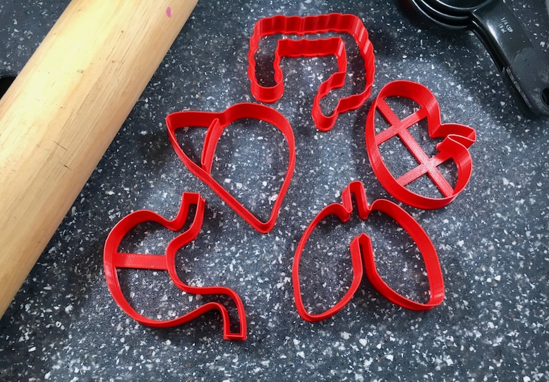 SUPER Human Anatomy Organs Cookie Cutter Set - Etsy