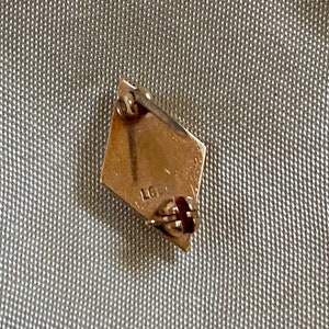 Vintage 1950s Sigma Alpha Epsilon Pledge Pin Yellow Gold Blue - Etsy