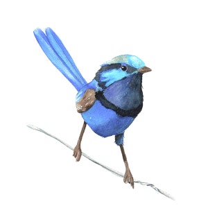 bluewrenstudios - Etsy Australia