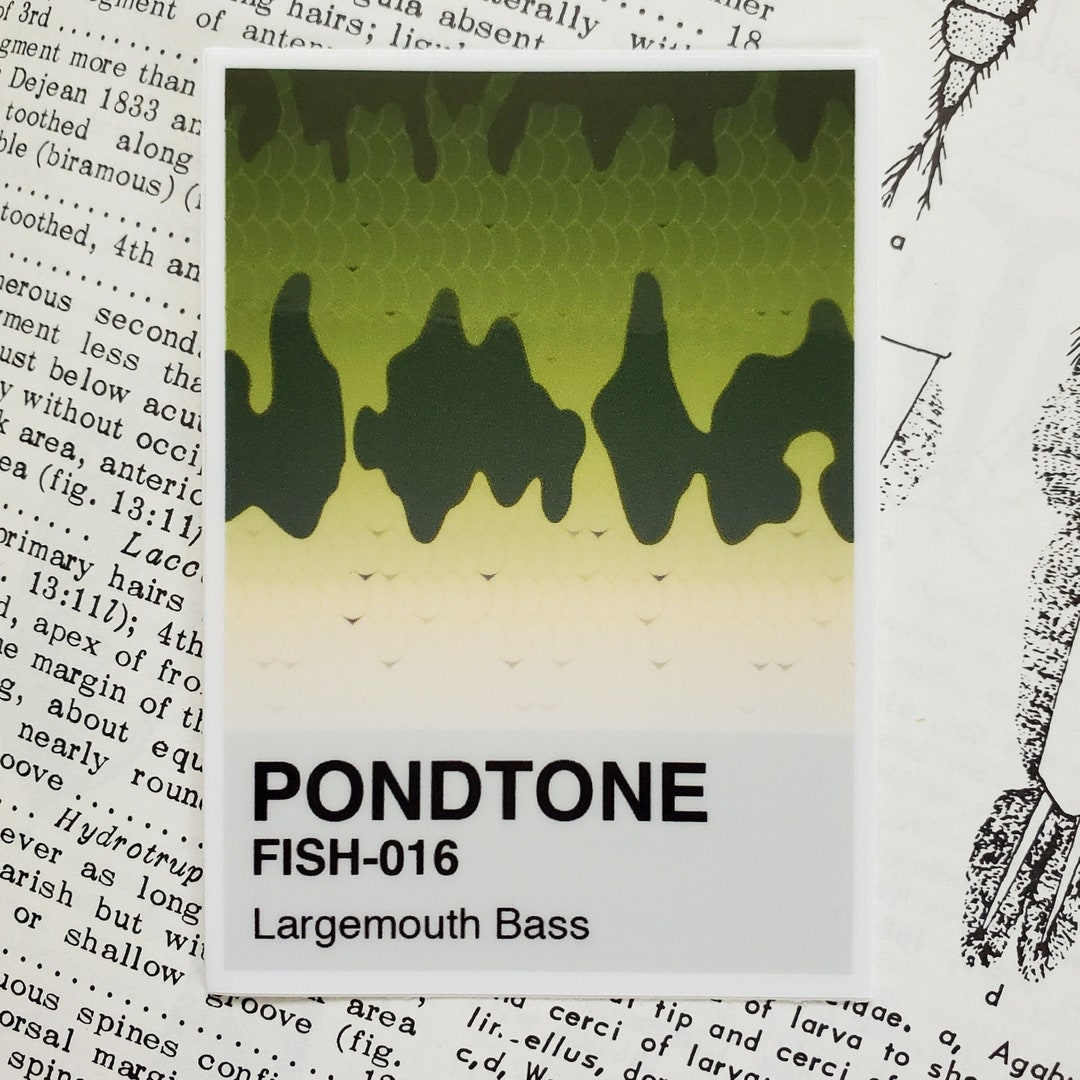 Largemouth Bass Pattern "pondtone" Swatch Vinyl Sticker - Etsy
