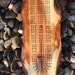 The RIVER ROCK Wood Cribbage Board Collection.lumber Jack Camp Nature ...