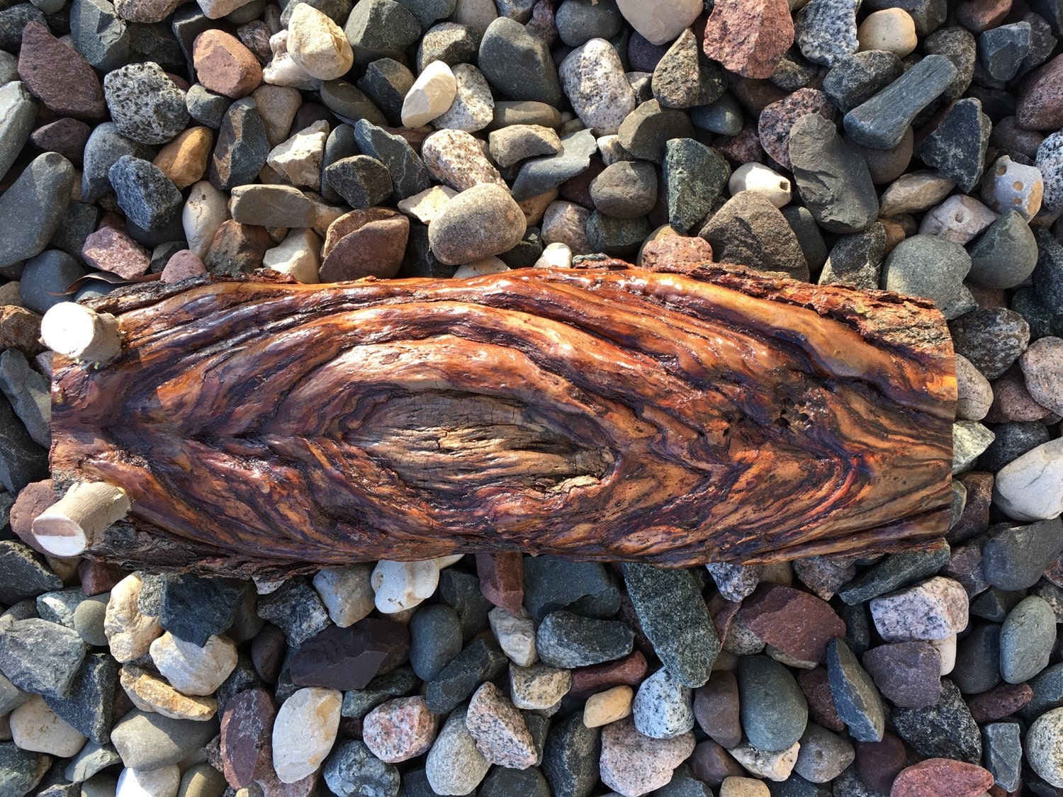 The RIVER ROCK Wood Cribbage Board Collection.lumber Jack Camp Nature ...