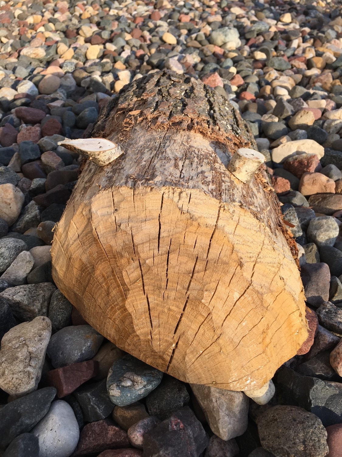 The PHEASANT TAIL Wood Cribbage Board Collection.lumber Jack Camp ...