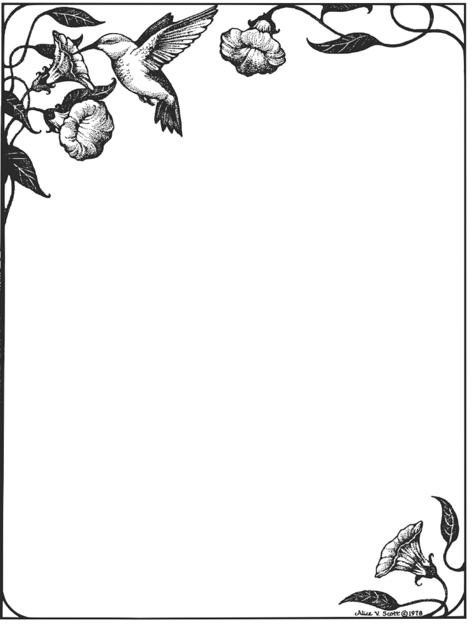 Hummingbird Border Downloadable Art Stationery original | Etsy