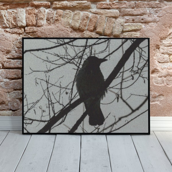 Crow in Tree - Etsy