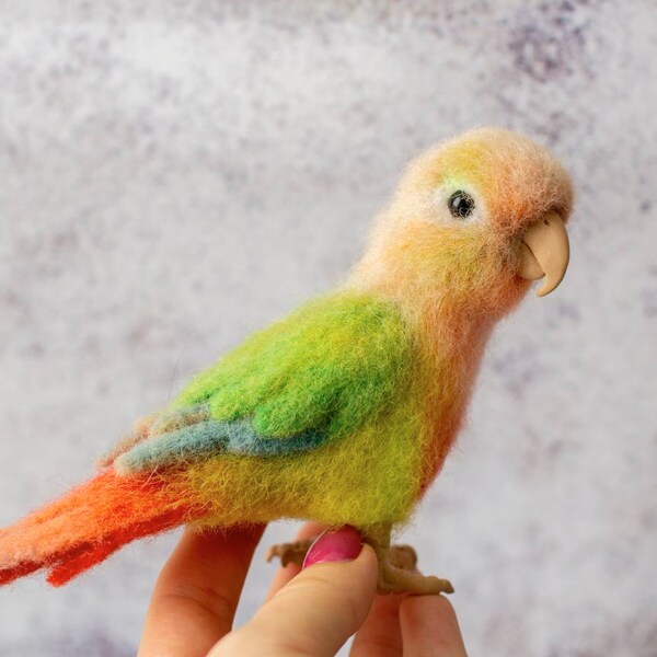 Needle Felted Parrot - Etsy