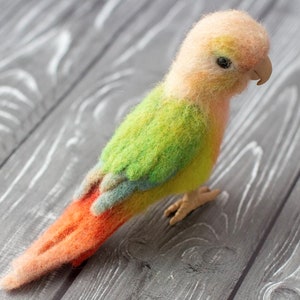 Personalized Parrot Portrait Felted Bird Pet Portrait Felted Parrot by ...
