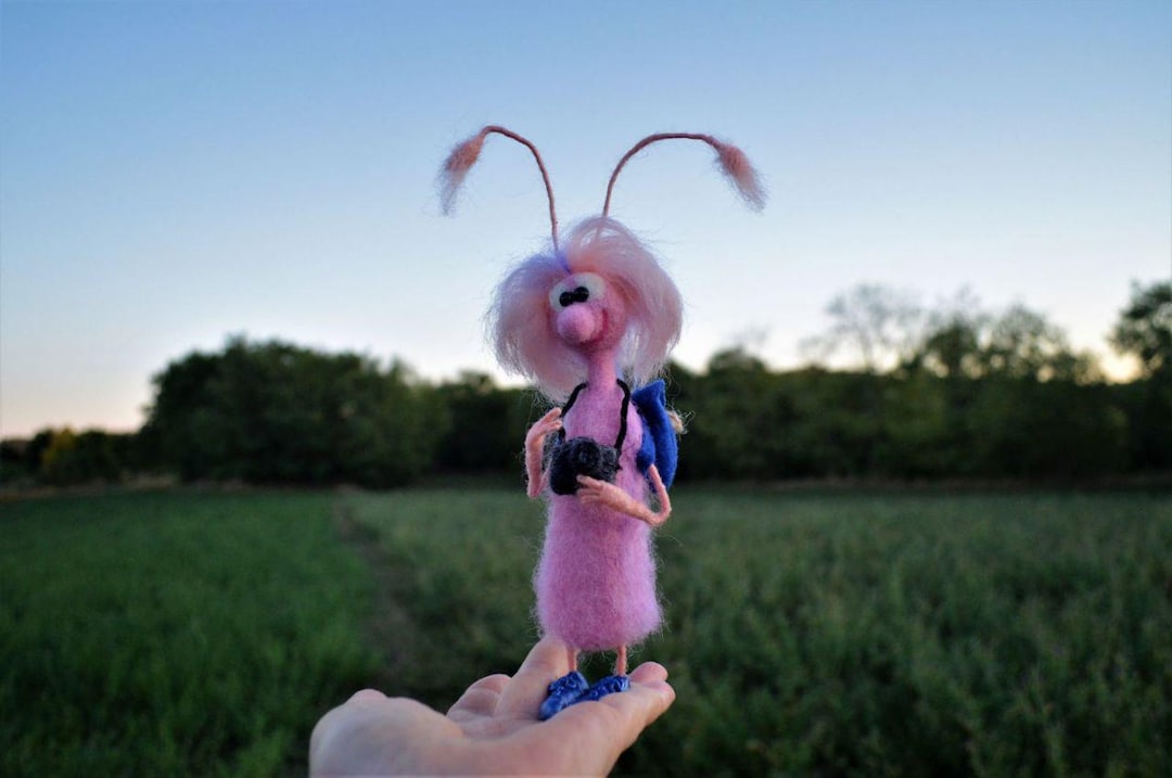Felted Pink Cockroach With Camera: Handmade Wool Funny Gift - Etsy