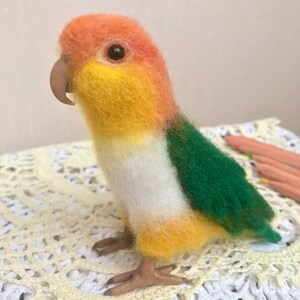 Personalized Parrot Portrait Felted Bird Pet Portrait Felted Parrot by ...