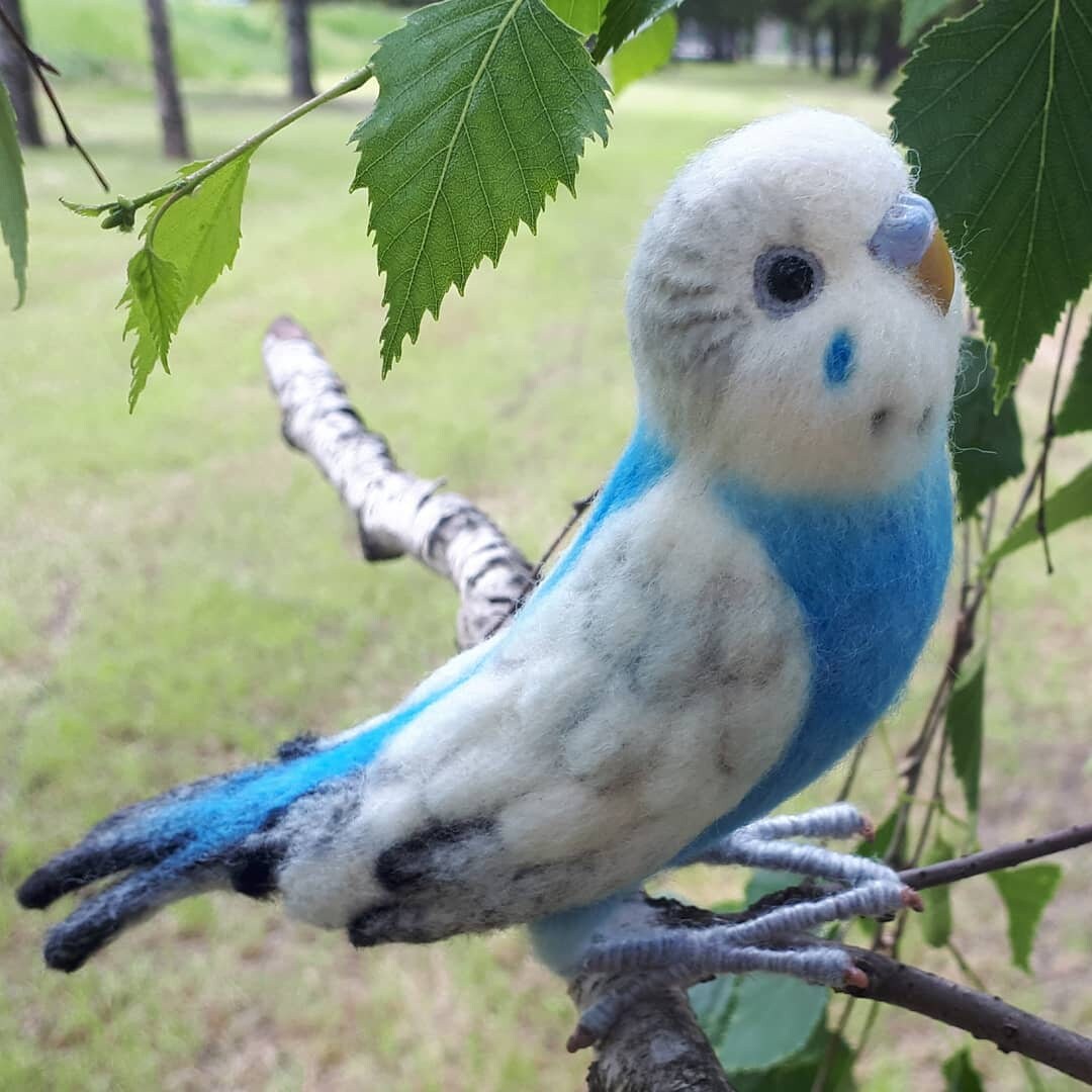 Needle Felted Parrot Sculpture - Handmade Wool Bird Figurine - Etsy