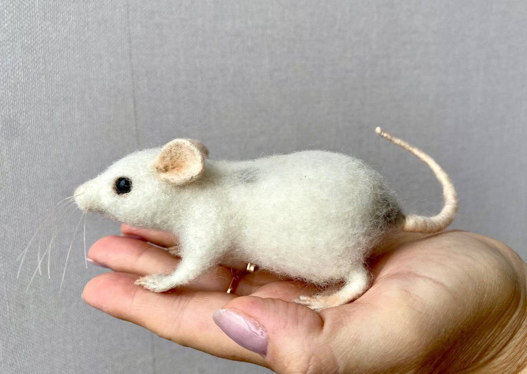 Needle Felted Mouse Figure by Customer Photo, Felted Pet Replica ...