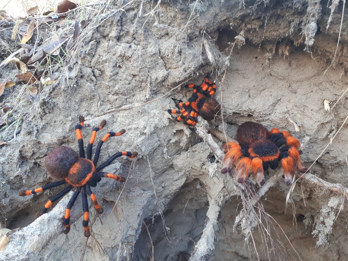 Needle Felted Spider Woolen Sculpture Spider Lovers Gift - Etsy