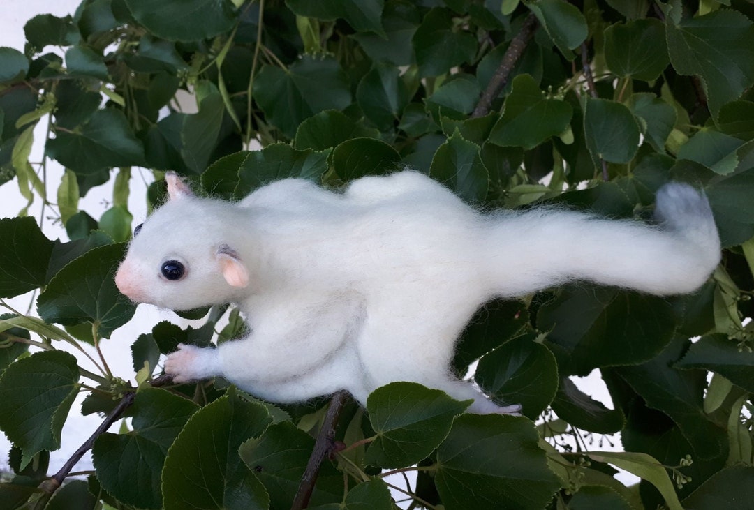 Needle Felted Sugar Glider Sculpture: Handmade Wool Animal - Etsy