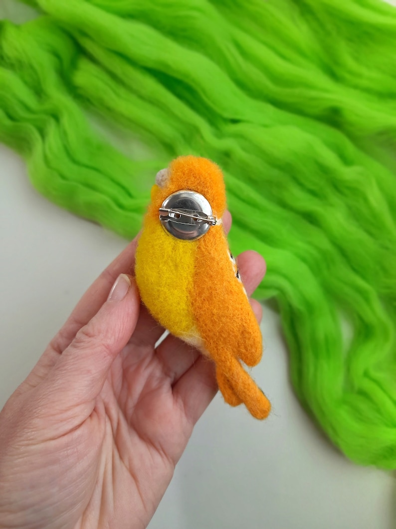 Felted Brooch Needle Felted Parrot Felted Bird Felt Brooch - Etsy