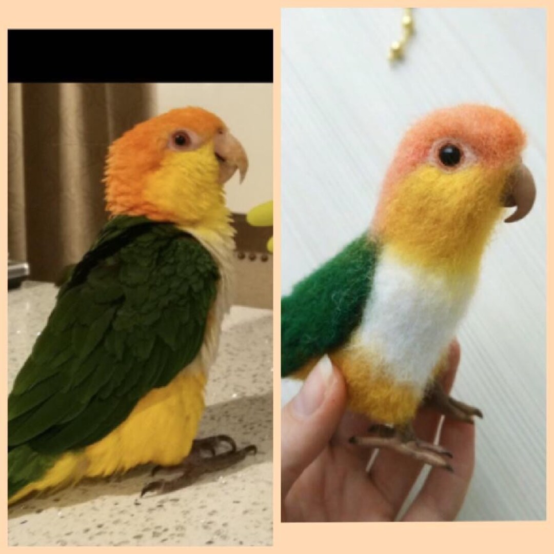 Personalized Parrot Portrait Felted Bird Pet Portrait Felted Parrot by ...