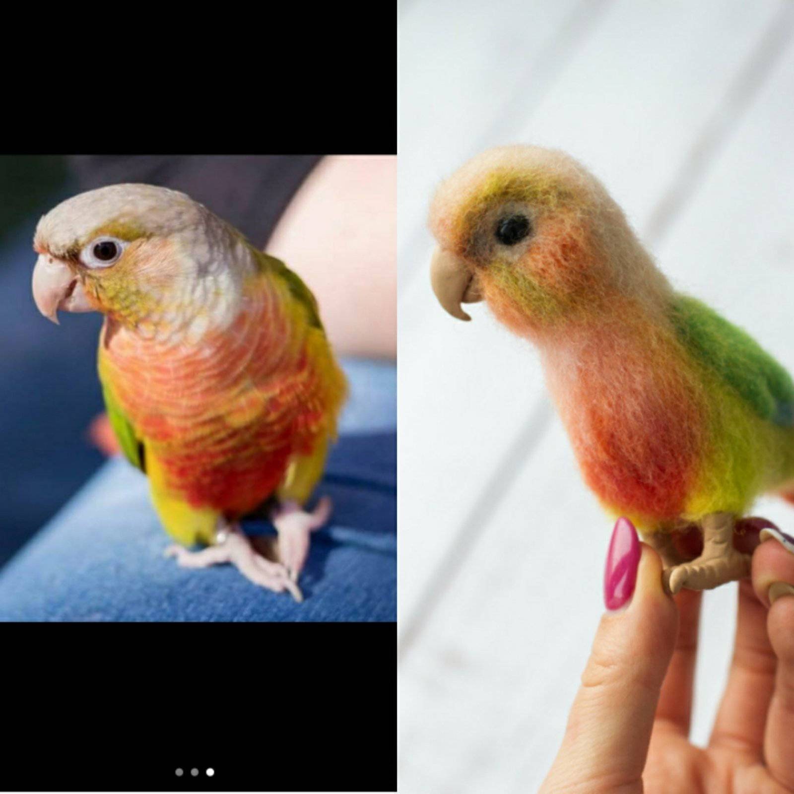 Personalized parrot portrait Felted bird Pet portrait Felted | Etsy