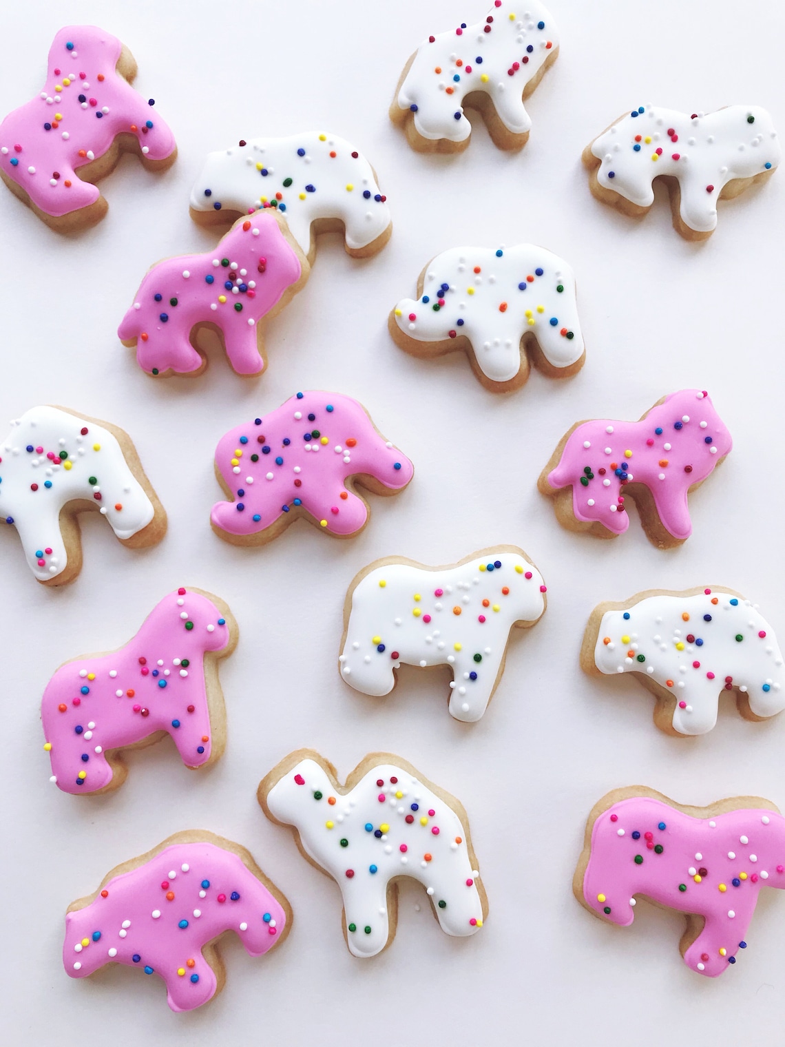 Animals Cookies - Etsy