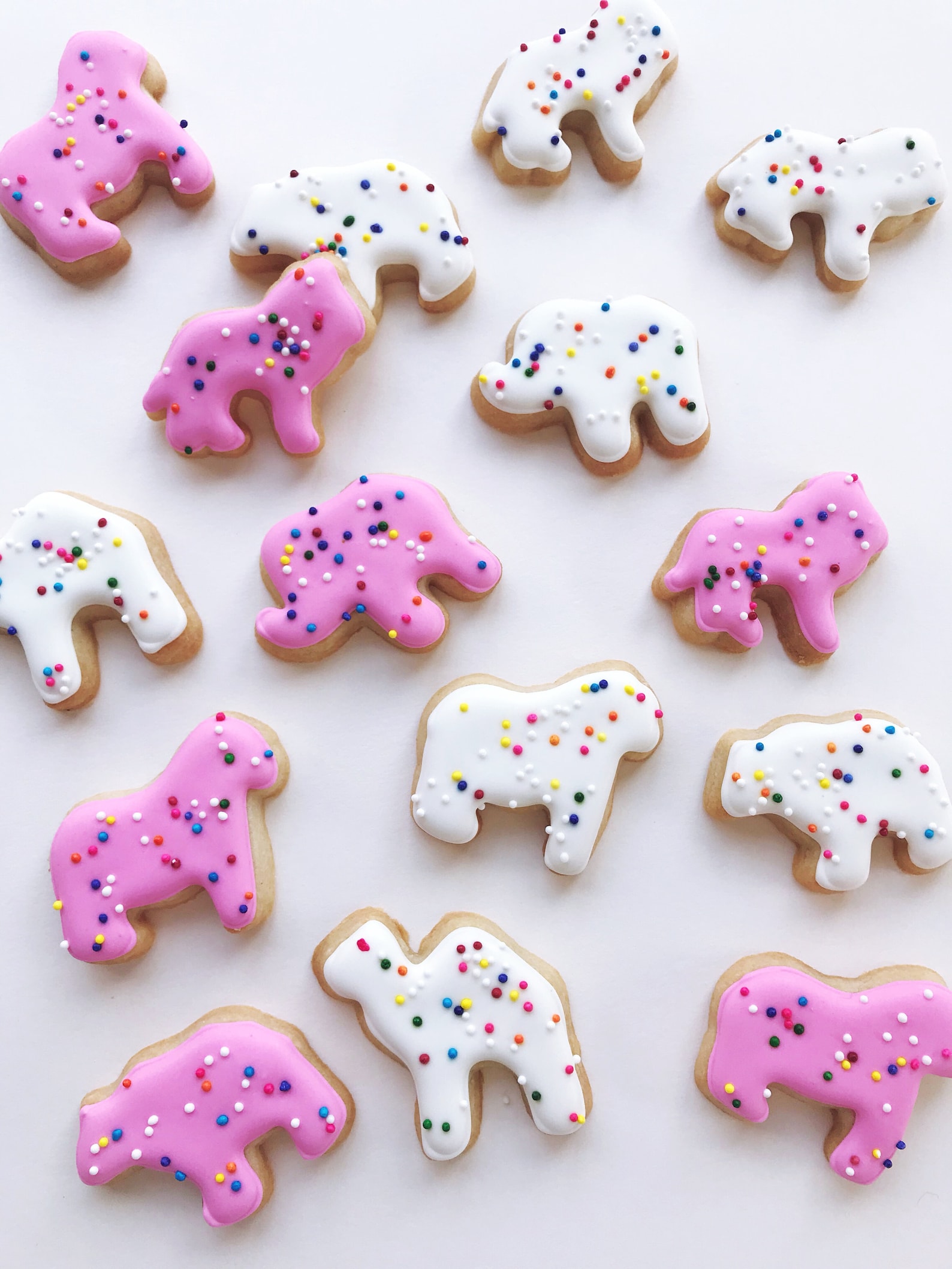Animals Cookies - Etsy