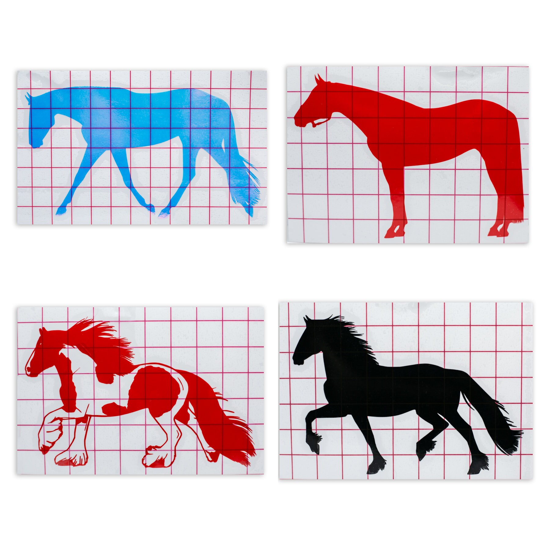 Horse Breeds Equestrian Decal Equine Rampaige - Etsy