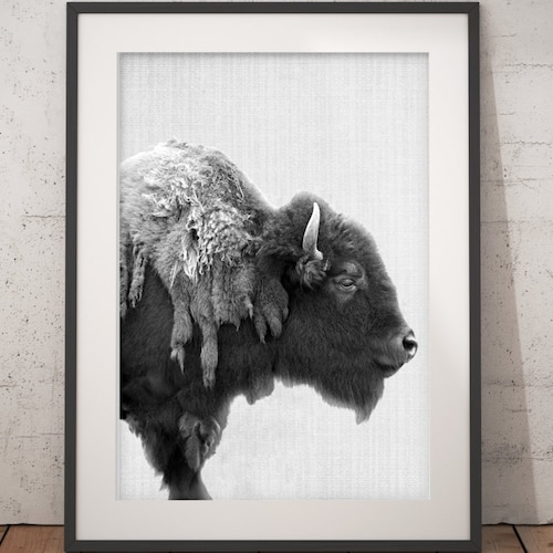 Buffalo Print Bison Wall Art Black and White Buffalo Modern - Etsy