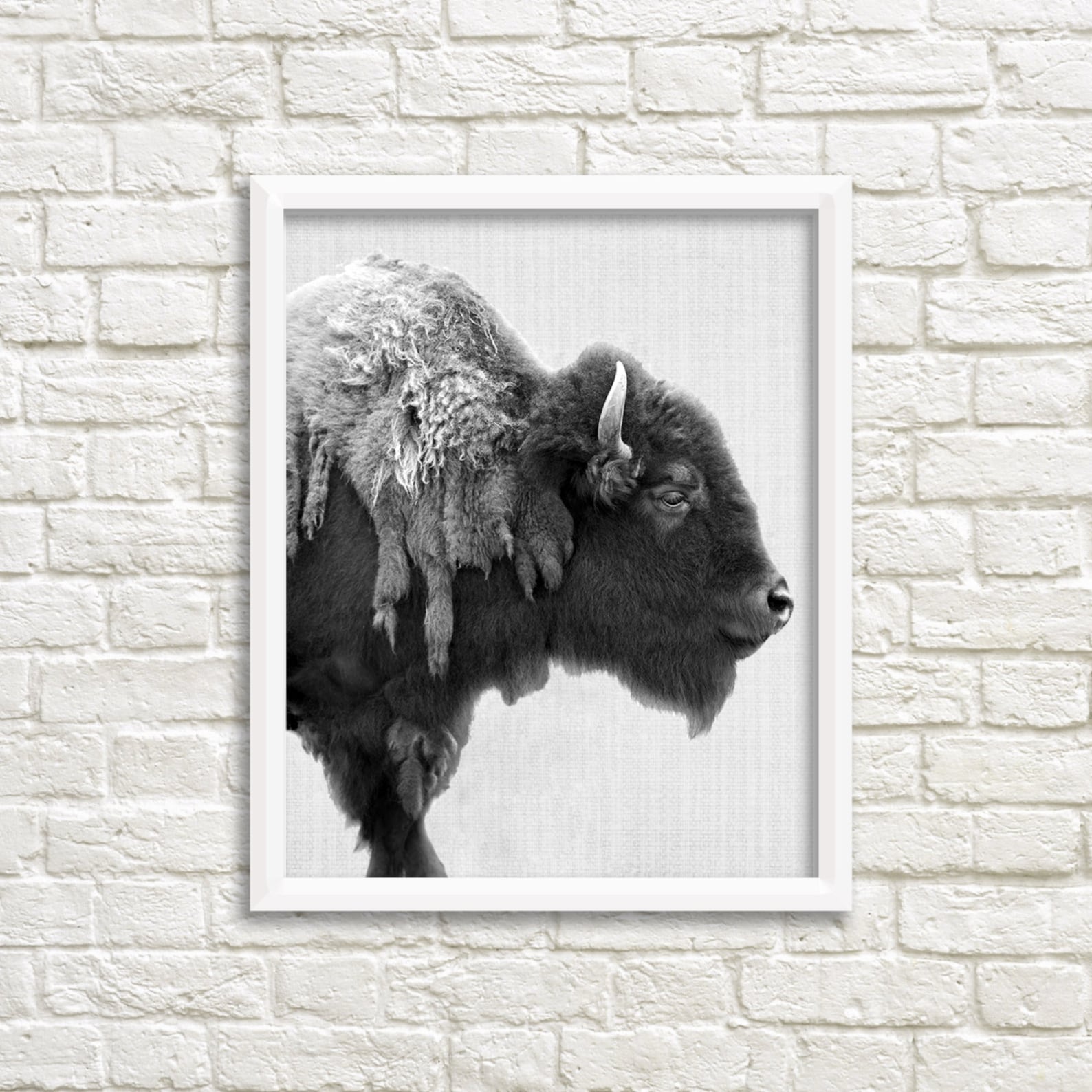 Buffalo Print, Bison Wall Art, Black and White Buffalo, Modern Minimal ...