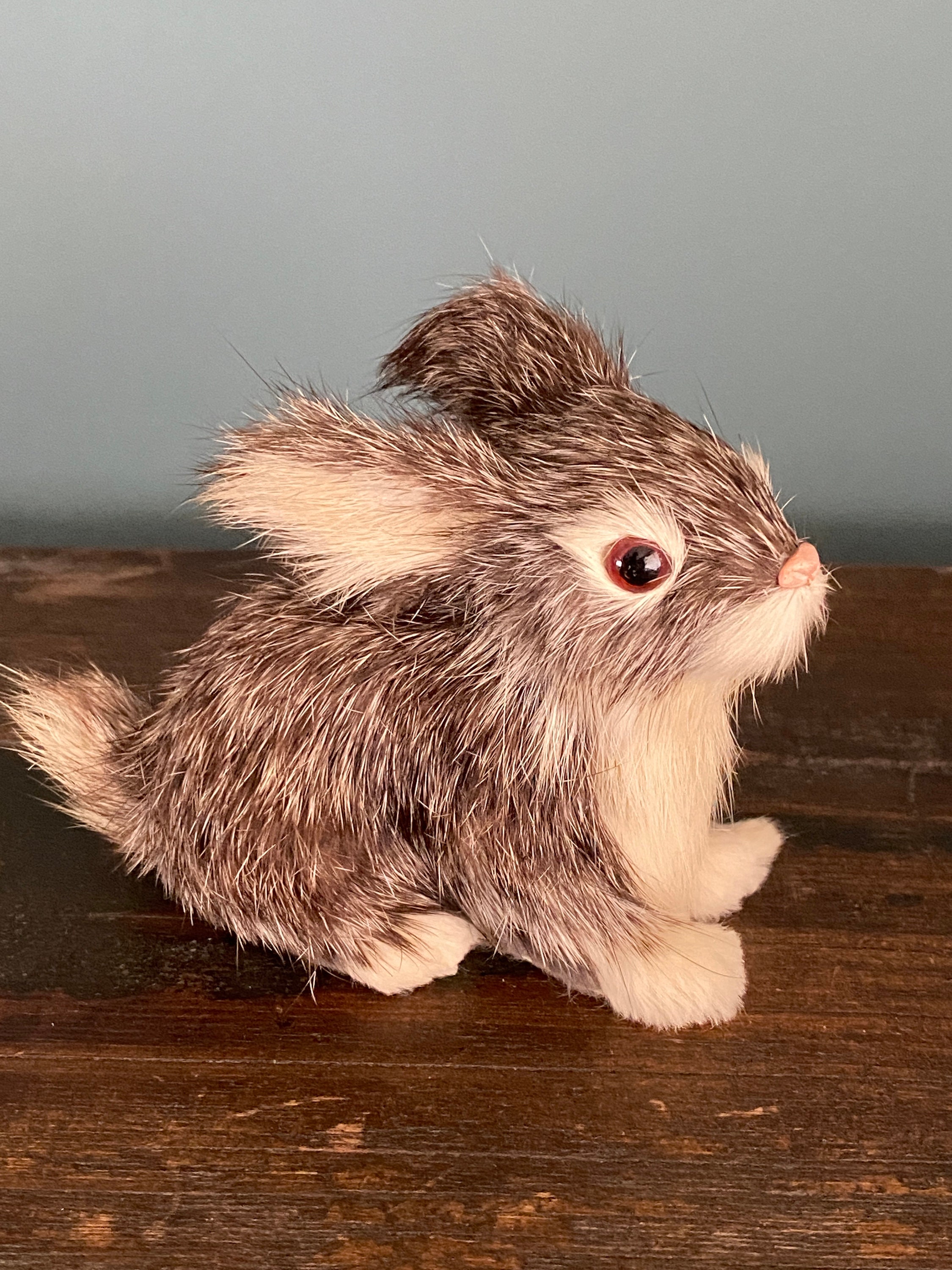 Vintage Miniature Taxidermy Animals Rabbit Bunny Real Hair Glass Eyes ...