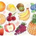 Fruit Clip Art - 11 Pk Digital Art, Commercial Use, Instant Download ...