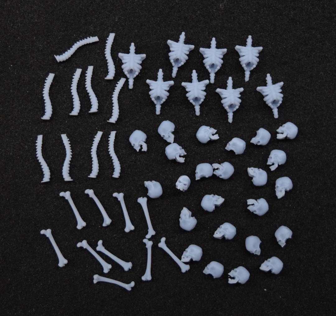 Mini Skulls / Bones - Etsy