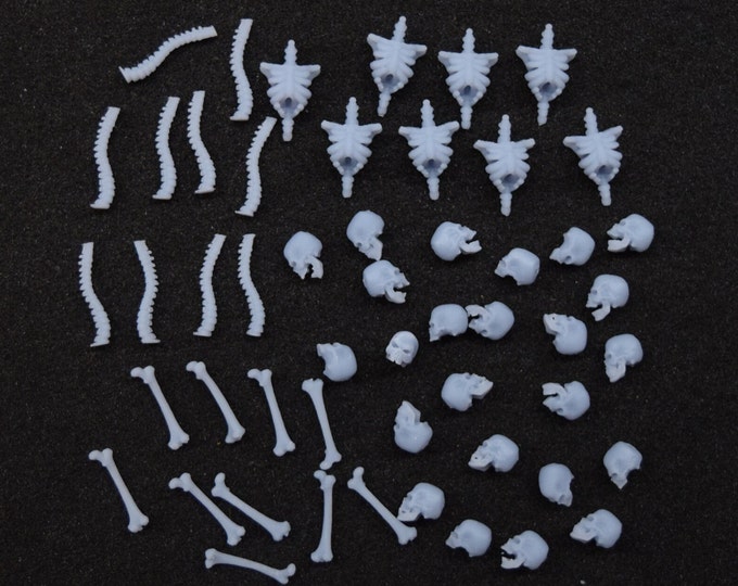Mouse Skull Real Tiny Mouse Skulls Cleaned Whitened Reassembled ...