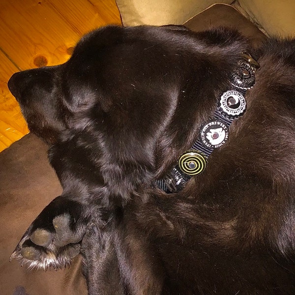 Bottle Cap Belt - Etsy