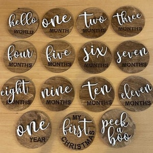 Monthly Photo Discs, Baby Photo Props. Milestone Discs. Baby Shower ...