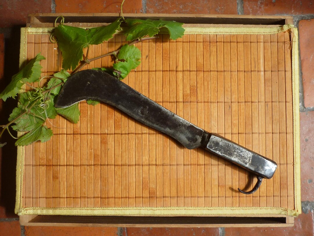 ANTIQUE French Vineyard Pruning Hook Iron XIX or XVIII Gardening Tool ...