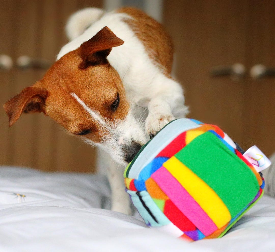 Snuffle Cube® | Challenger Cube™ | Dog Enrichment | Dog Toy | Nosework ...