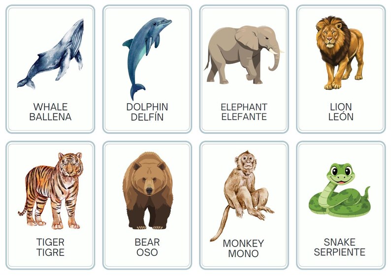 Spanish Vocabulary Flashcards | 744+ English to Spanish Learning Cards ...