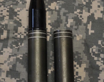 Brass .22 LR Rimfire Shell Casings. Inert. Bullet. | Etsy